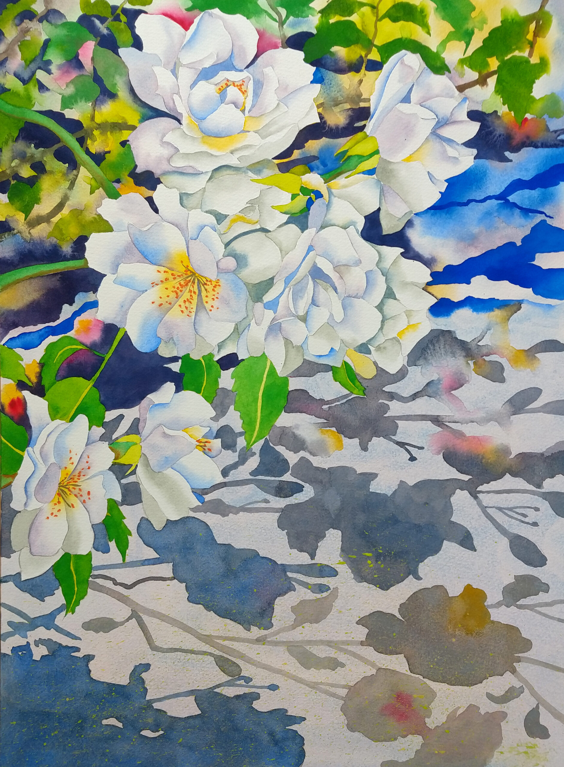 Michele Webber Watercolor Painting & Drawing Tuition – Making Art Simple