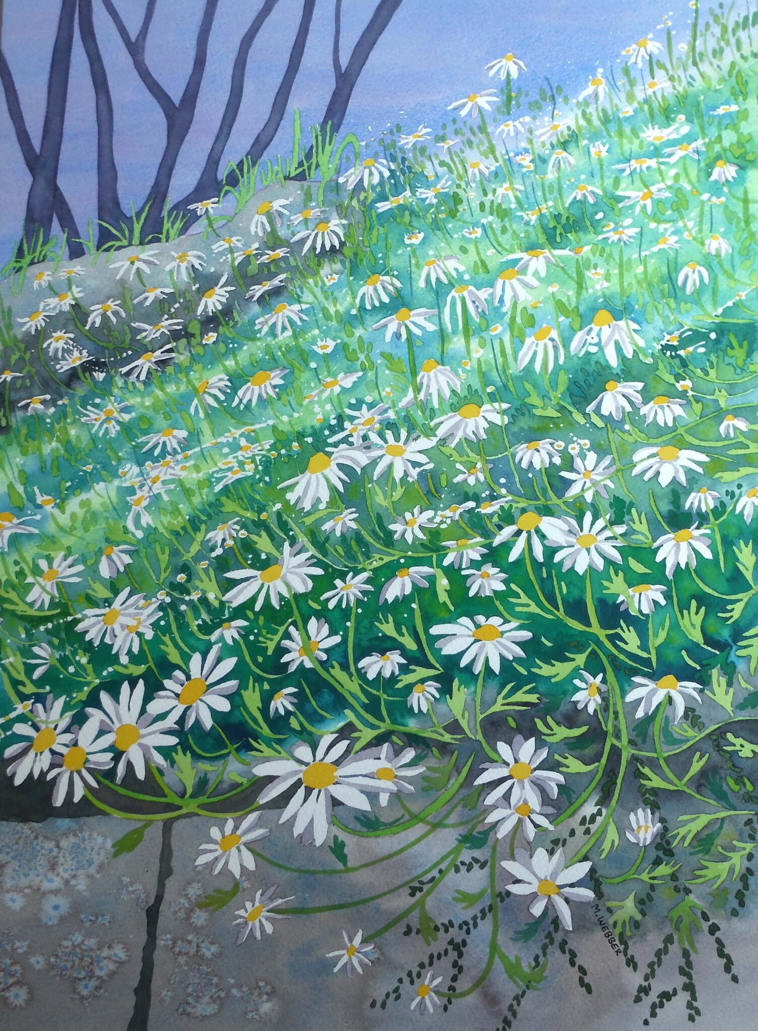 About – Michele Webber Watercolor Painting & Drawing Tuition